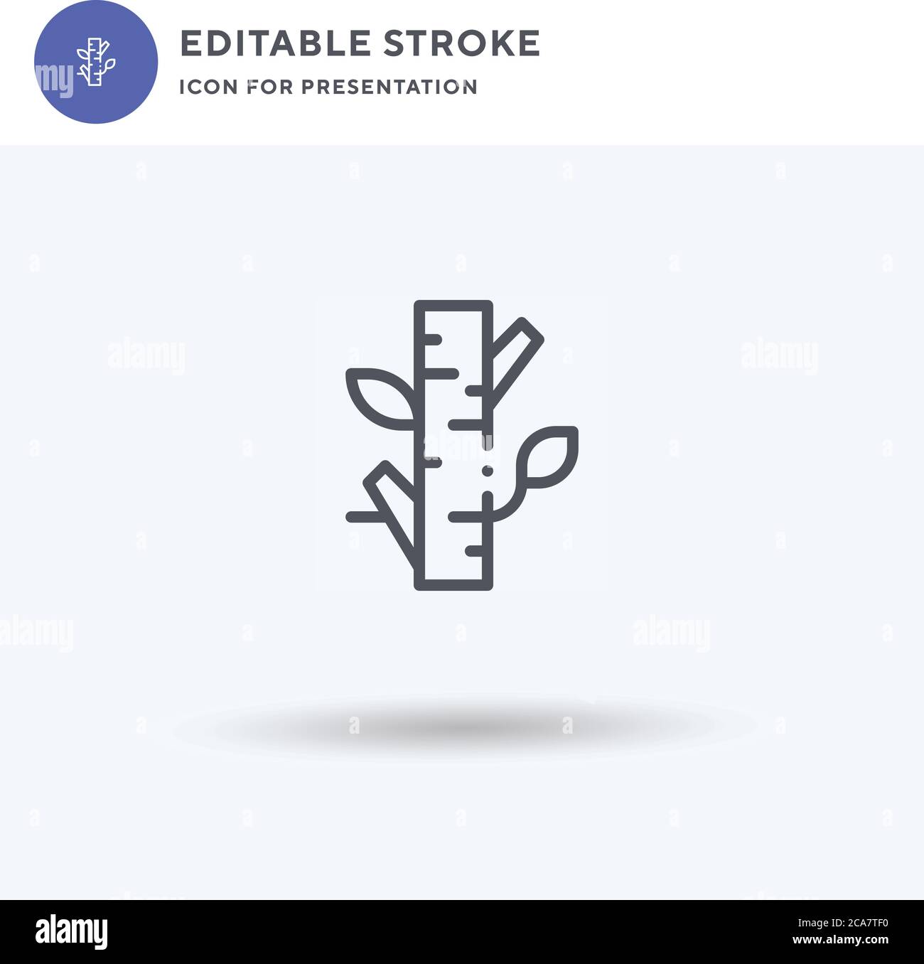 Birch Tree icon vector, filled flat sign, solid pictogram isolated on ...