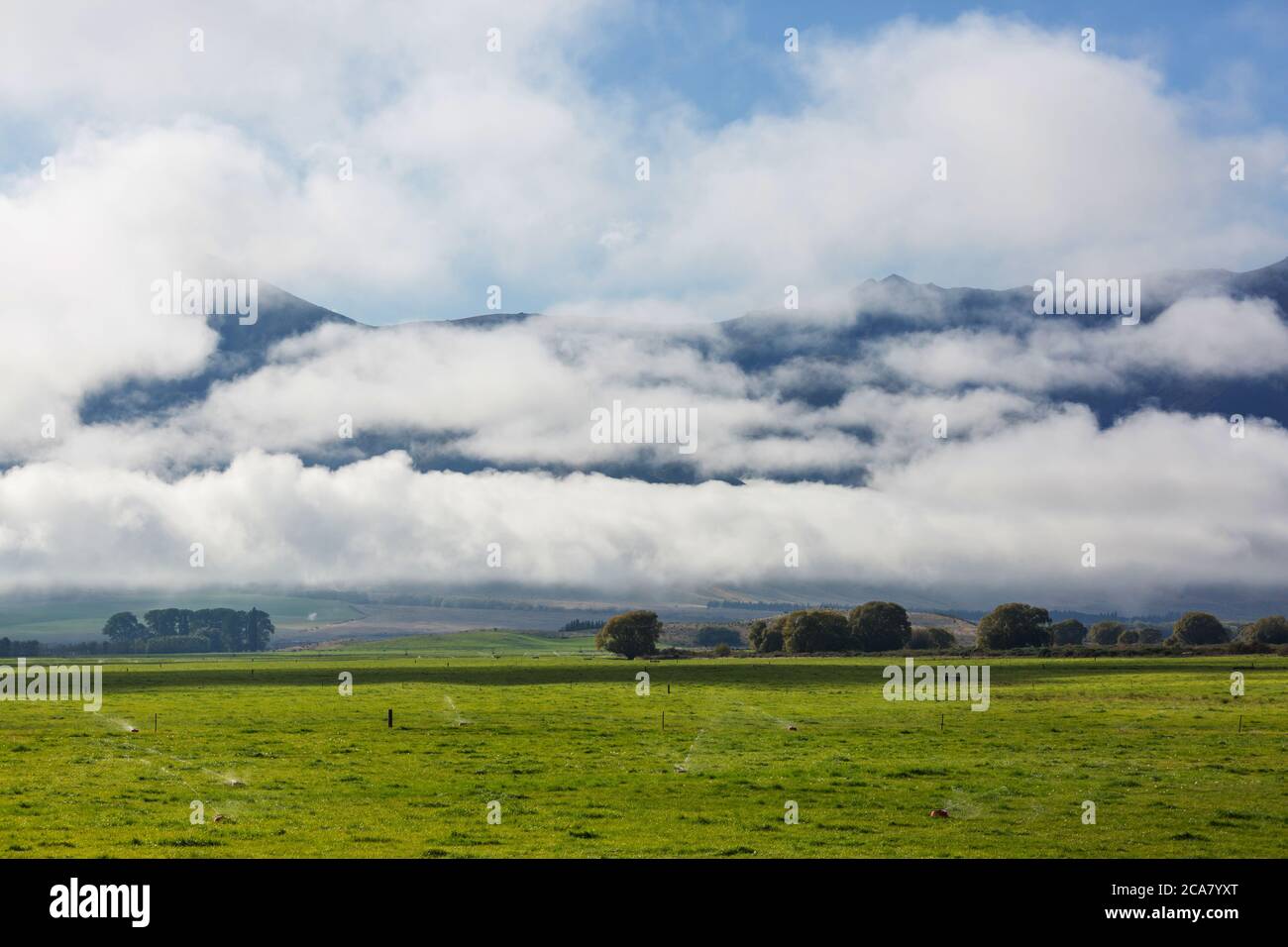 Beautiful rural landscape of the New Zealand - green hills and trees ...
