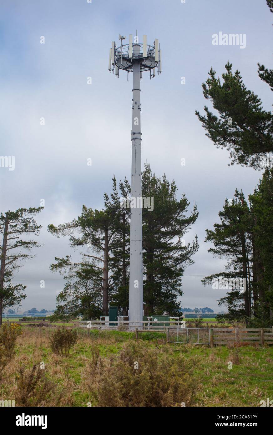 A Look at life in New Zealand: New Zealand Countryside: Cell Towers and Pine Trees Stock Photo ...