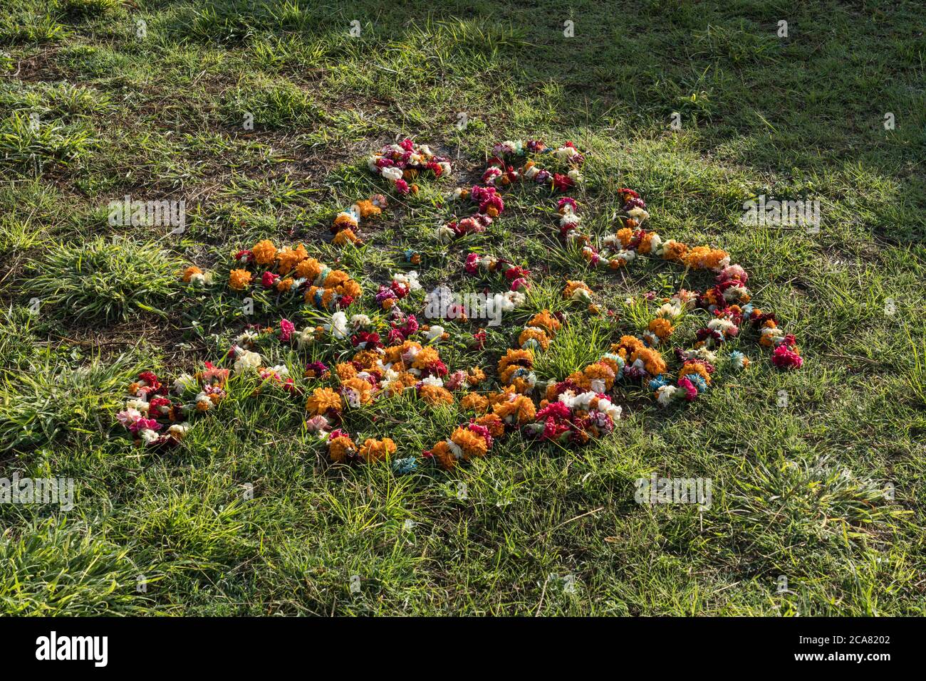Flowers left on the ground as a memorial over the site of Tombs 103 ...