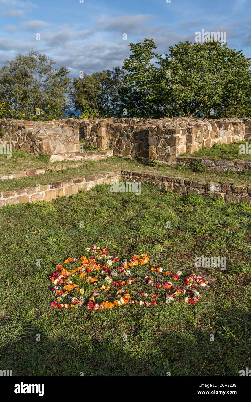 Flowers spread on ther ground over Tombs 103, 110, 112 and another ...