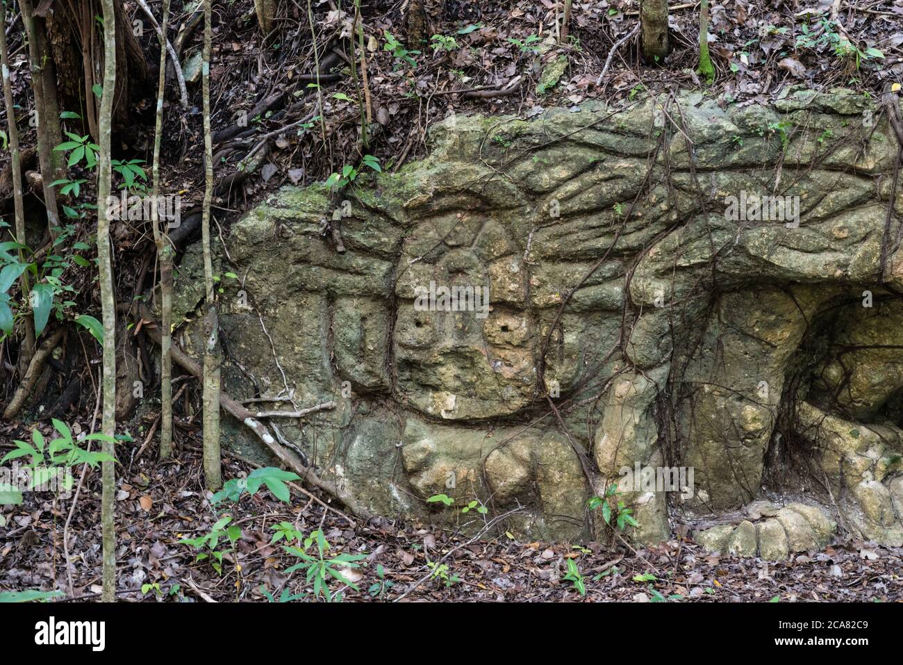 Very old stone carvings near the ruins of the Mayan city of Muyil or ...