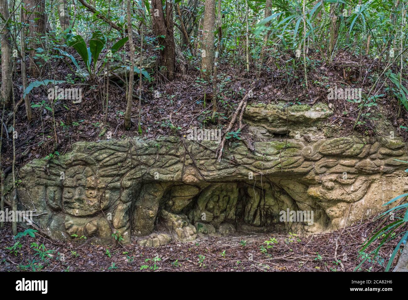 Very old stone carvings near the ruins of the Mayan city of Muyil or ...