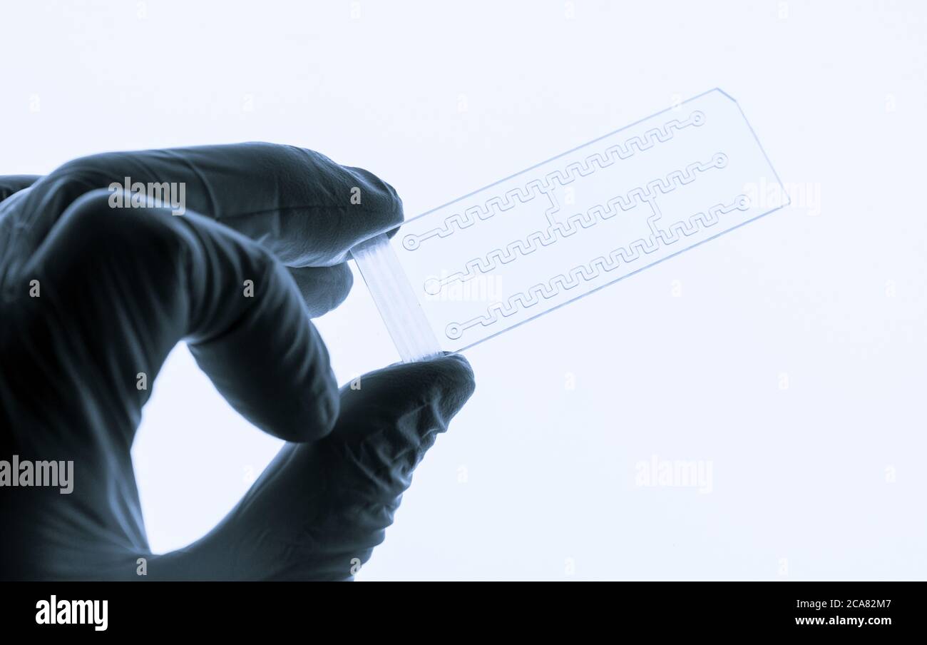 Organ on chip OOC and lab on chip LOC - microfluidic device chip that ...