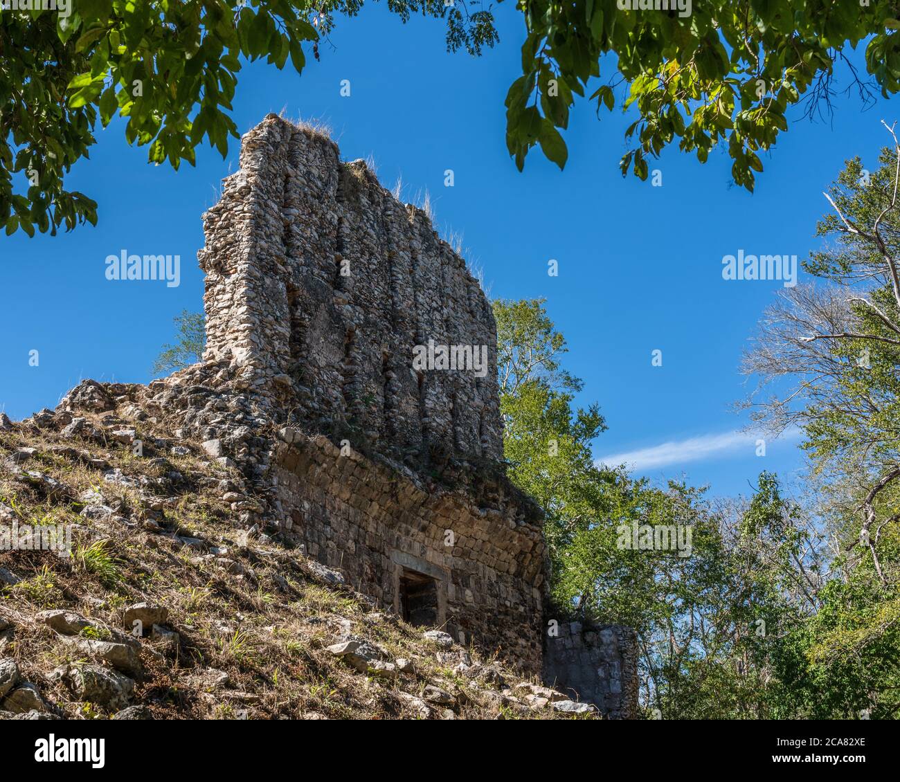 The tall roof comb of the El Mirador temple in the ruins of the Mayan ...