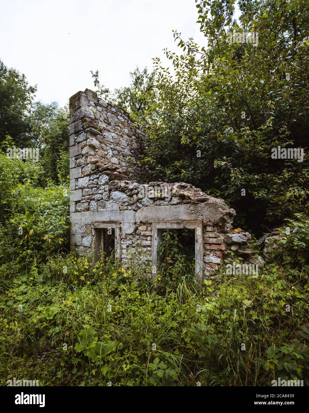 Overgrown ruins old manor house hi-res stock photography and images - Alamy
