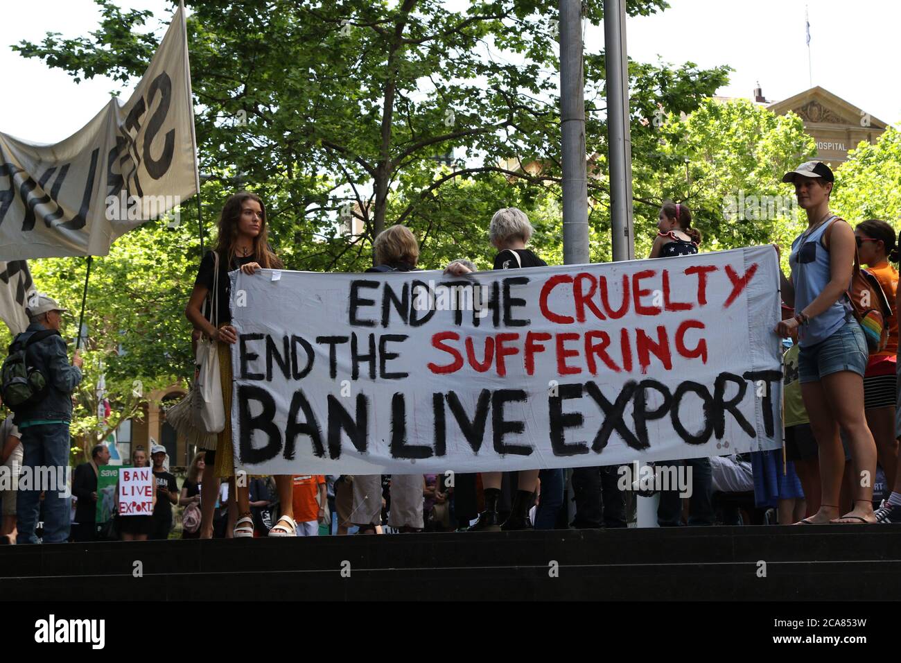 Ban live exports protest in Sydney, Australia Stock Photo - Alamy