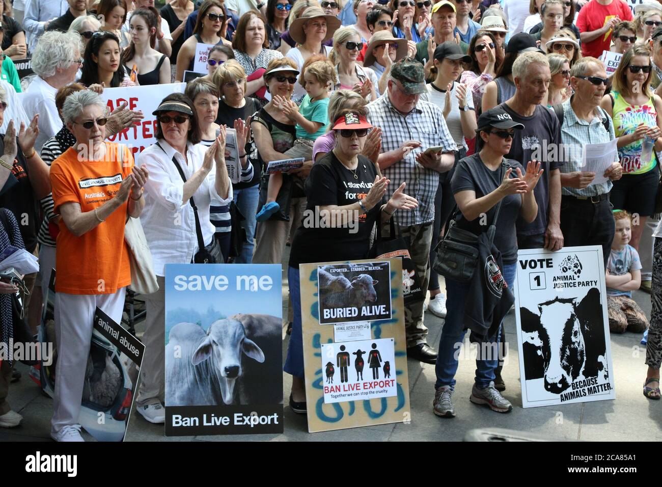 Ban live exports protest in Sydney, Australia Stock Photo - Alamy