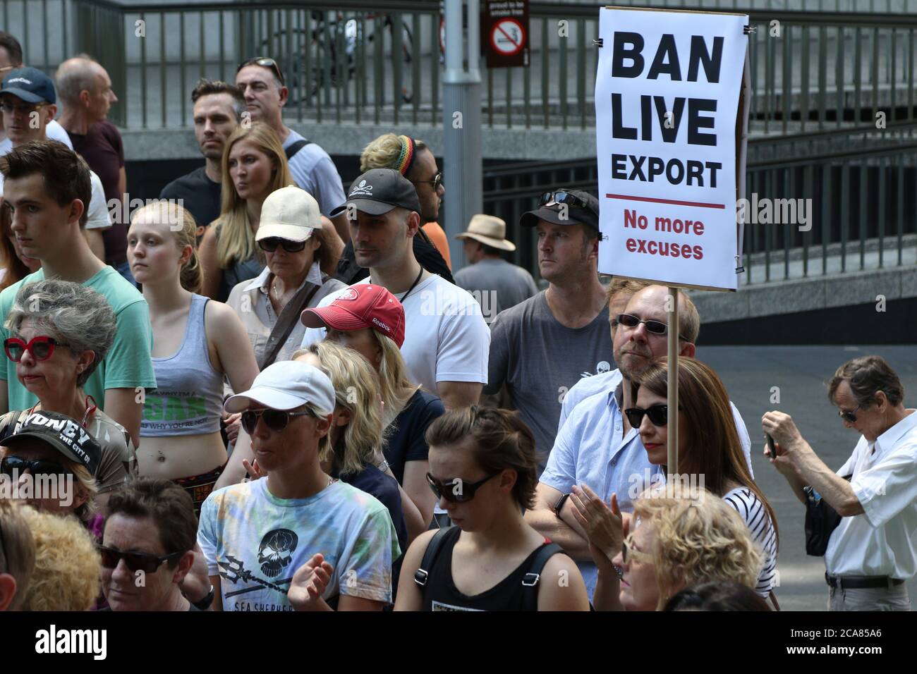Ban live exports protest in Sydney, Australia Stock Photo - Alamy