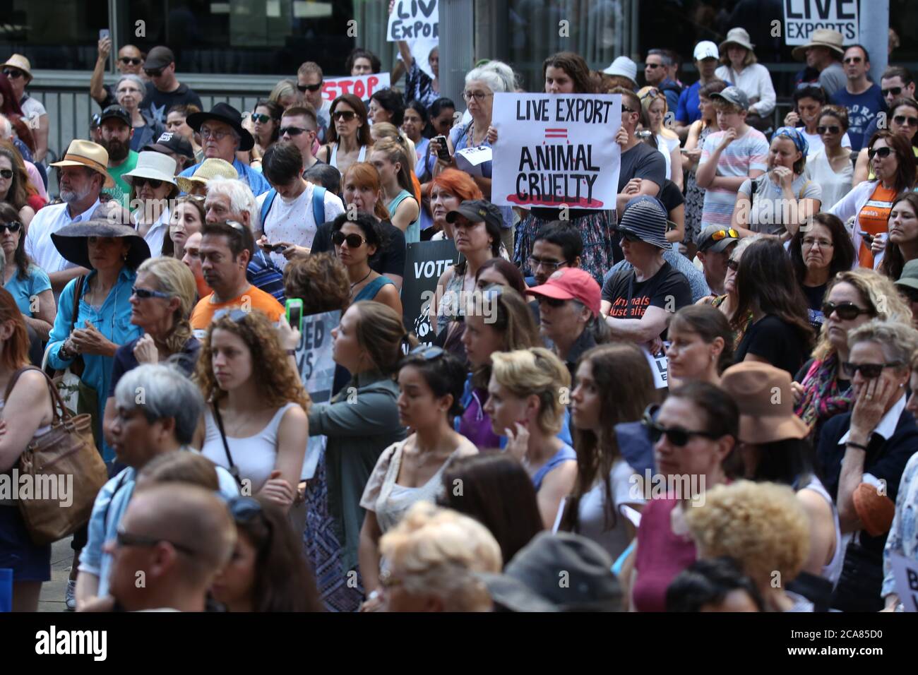 Ban live exports protest in Sydney, Australia Stock Photo - Alamy