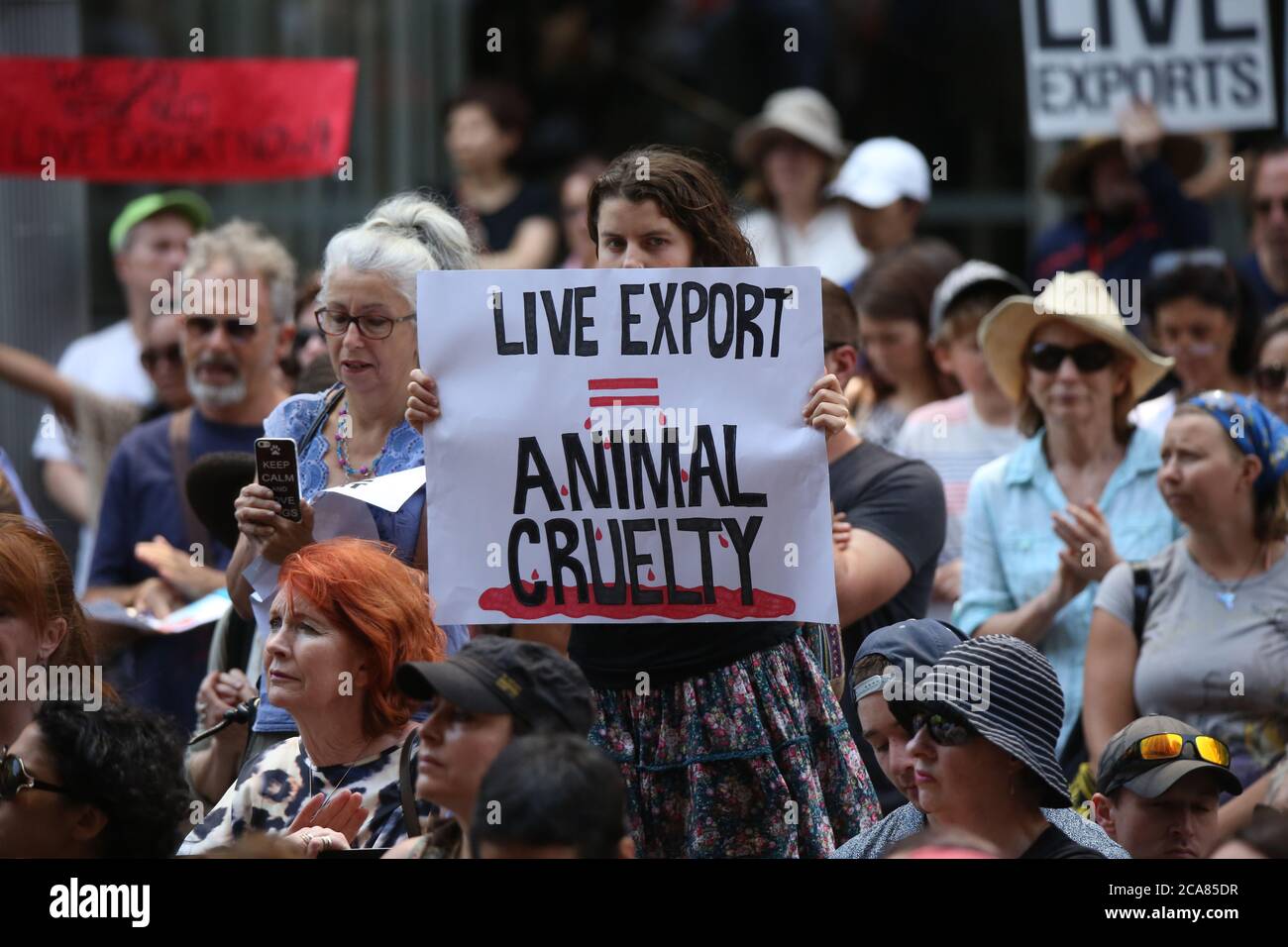 Ban live exports protest in Sydney, Australia Stock Photo - Alamy