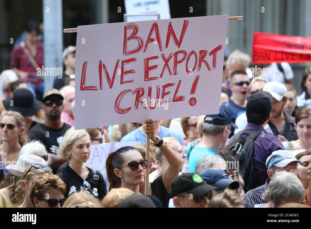 Ban live exports protest in Sydney, Australia Stock Photo - Alamy