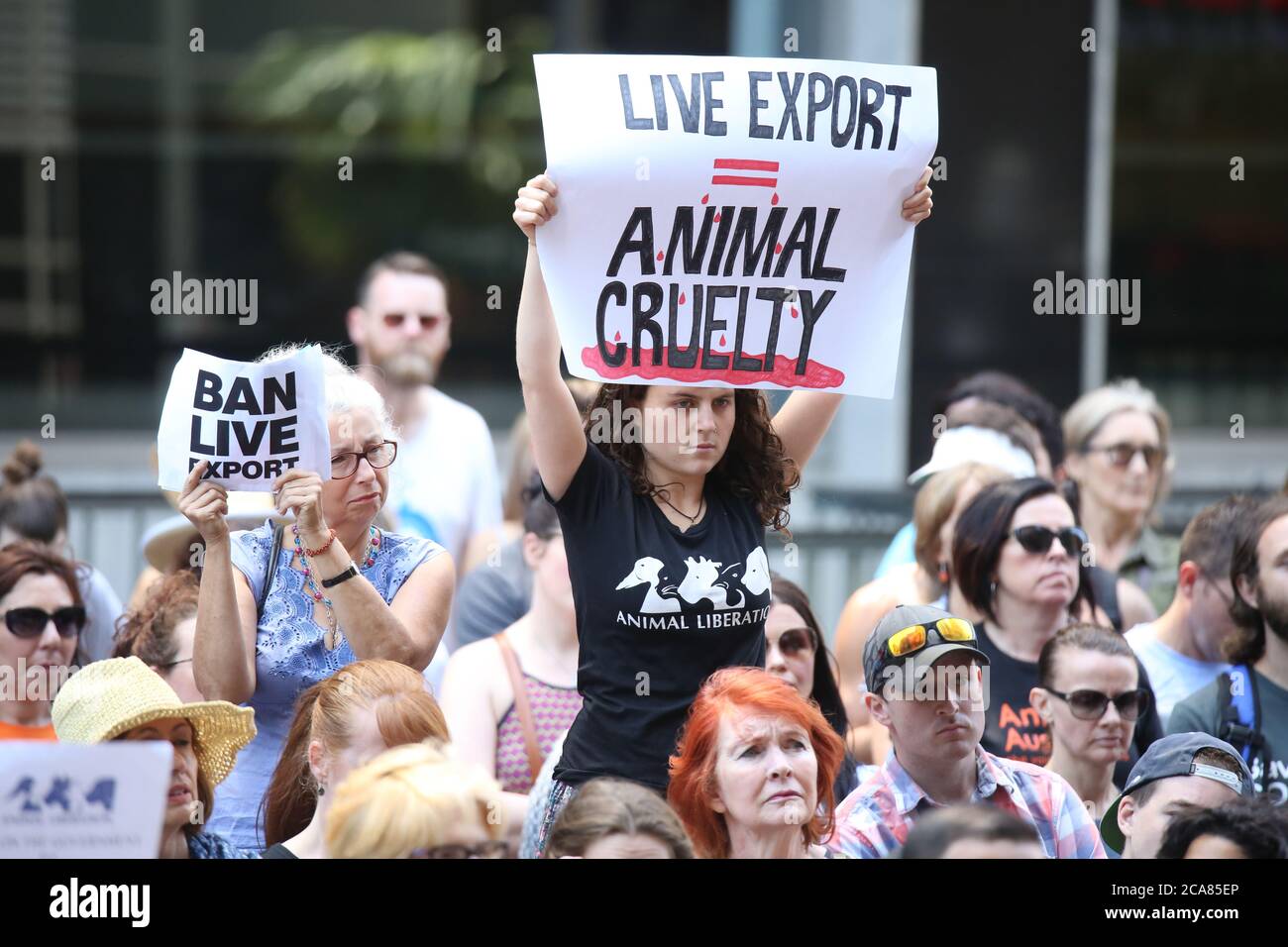 Ban live exports protest in Sydney, Australia Stock Photo - Alamy