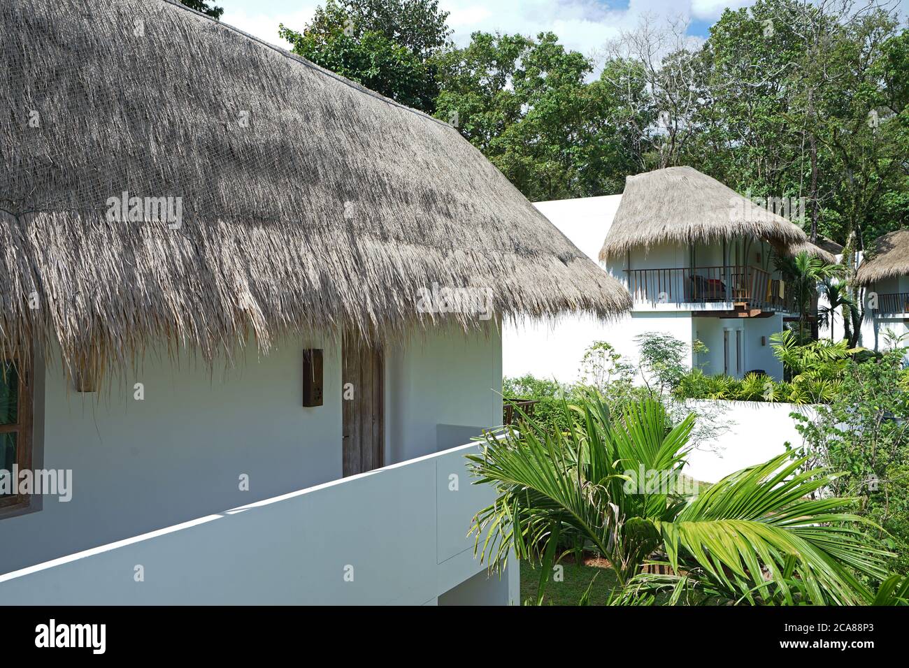 Exterior architecture and design of natural ecology, stylish and ...