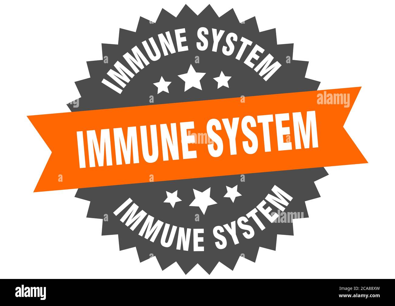 immune system round isolated ribbon label. immune system sign Stock ...
