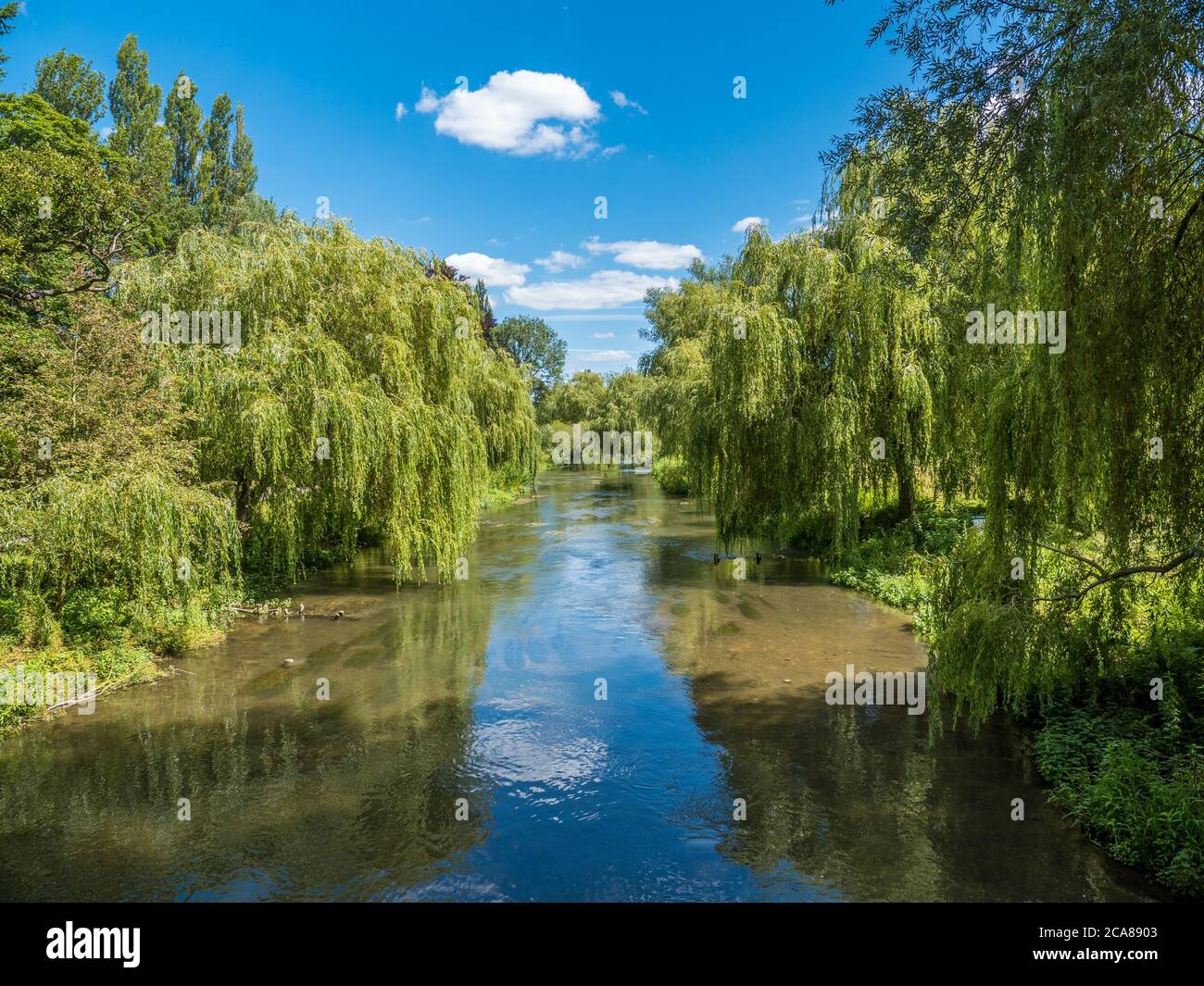 River kennet fishing hi-res stock photography and images - Alamy