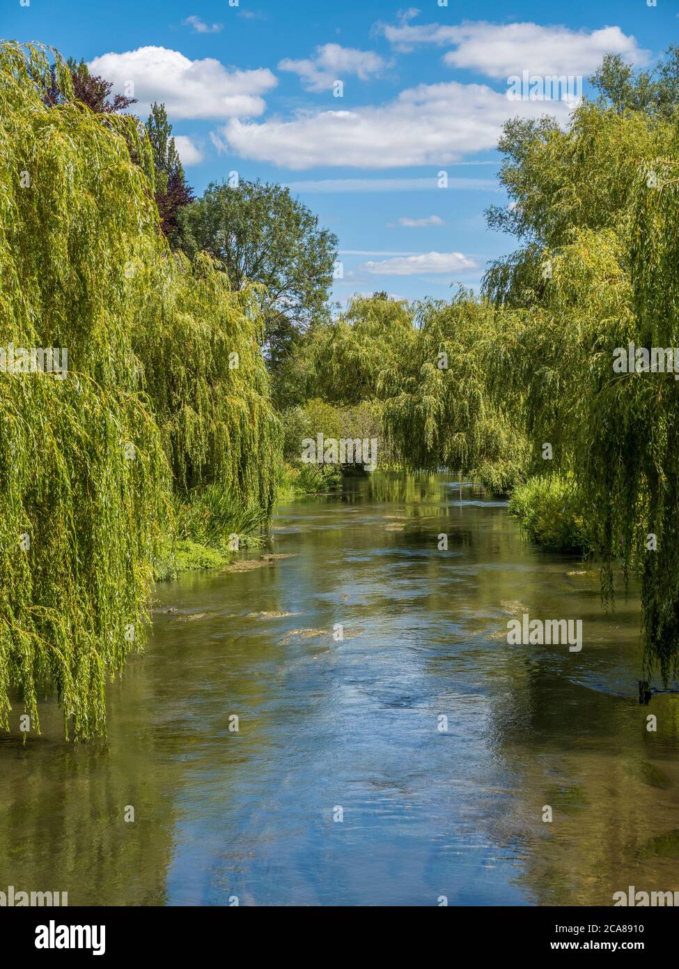 Summer Day on the River Kennet, Hamstead Marshall, Newbury, Berkshire ...