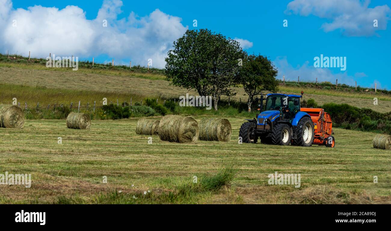 Farmer in tractor making hay bales in field with blue skys , Lozere ...