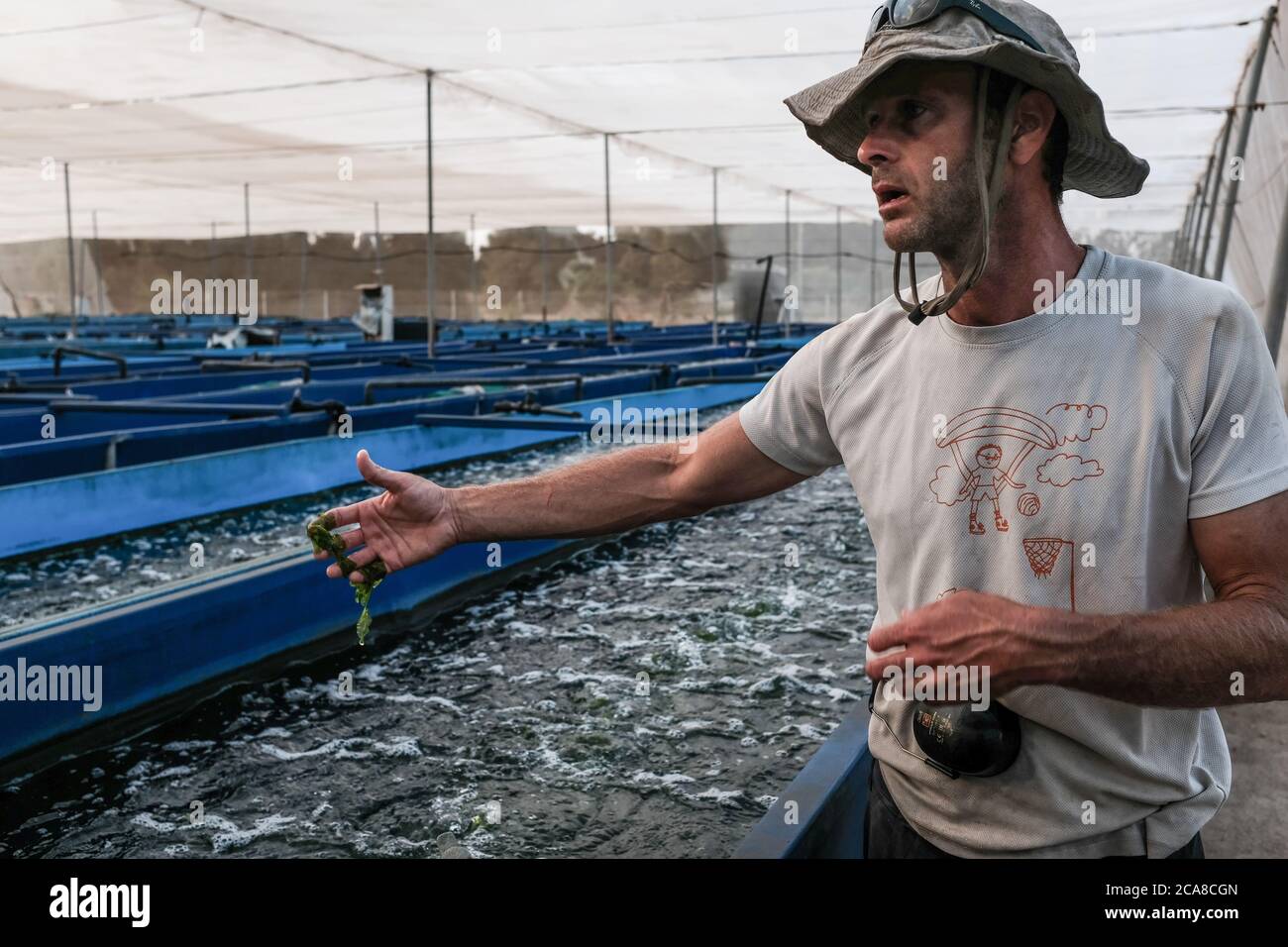 Seakura Farm, Israel. 5th August, 2020. The Seakura Farm, established ...