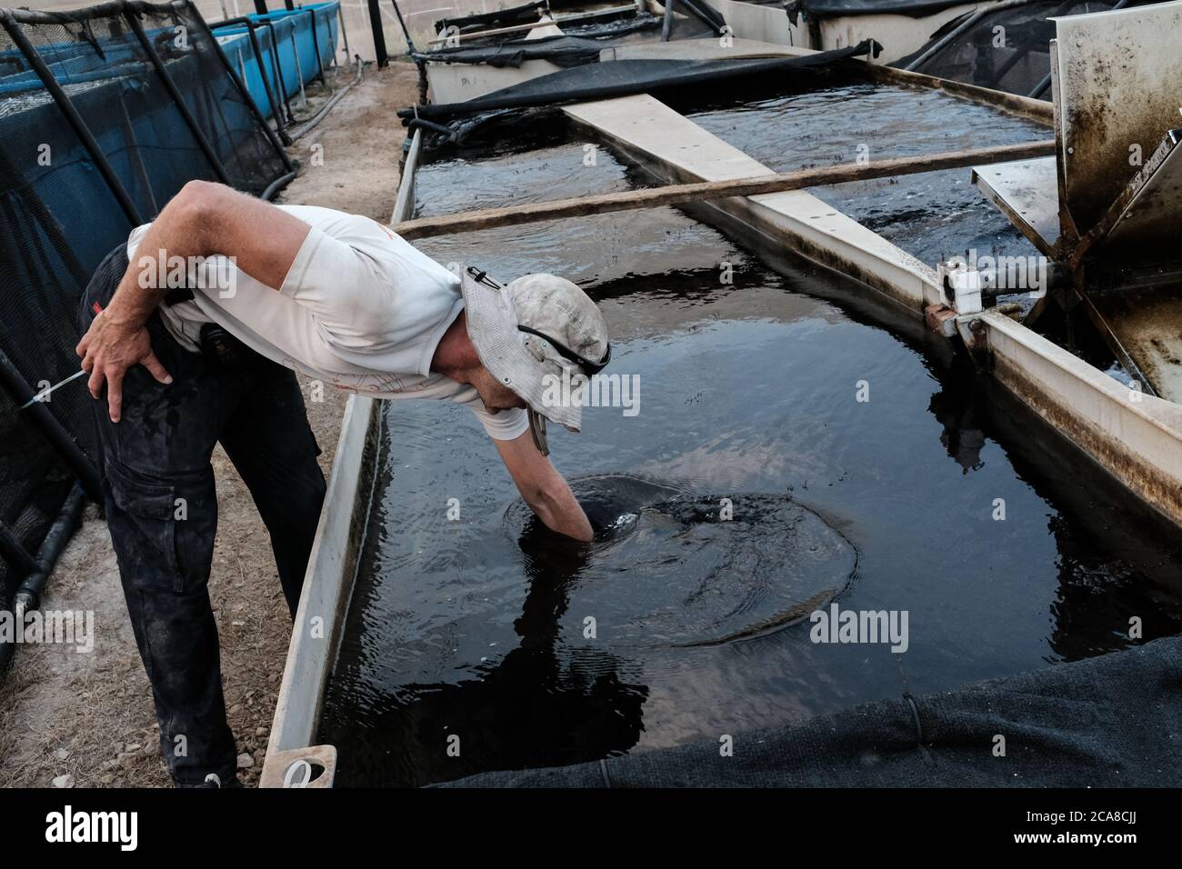 Gracilaria farm hi-res stock photography and images - Alamy