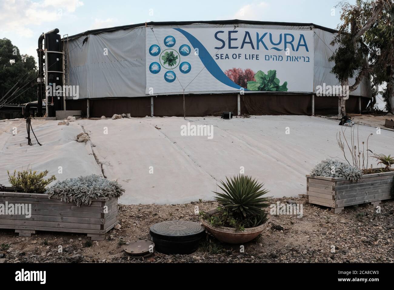 Seakura Farm, Israel. 5th August, 2020. The Seakura Farm, established ...