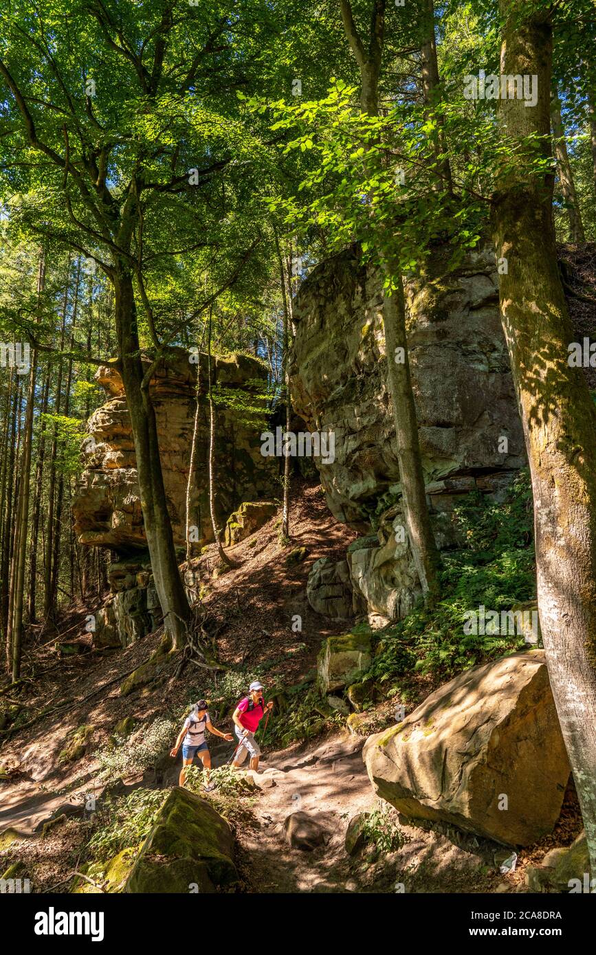 Trail to the Devil's Gorge, near Irrel, Nature Park Südeifel, Rheinland ...