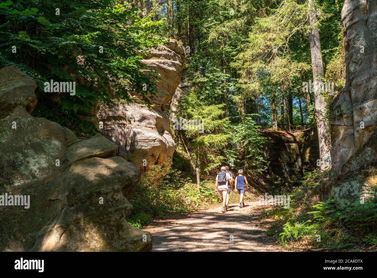 Trail to the Devil's Gorge, near Irrel, Nature Park Südeifel, Rheinland ...