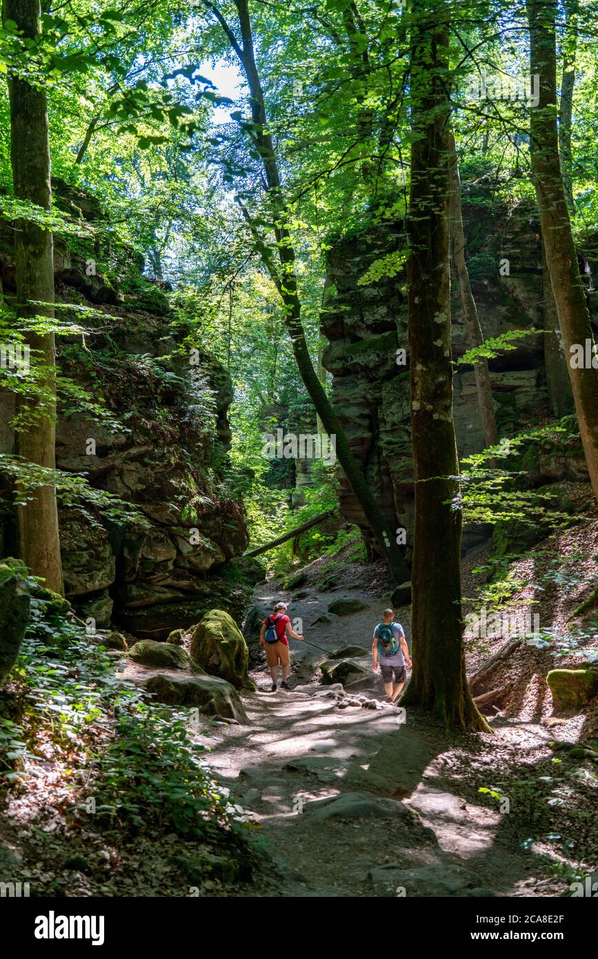Trail to the Devil's Gorge, near Irrel, Nature Park Südeifel, Rheinland ...