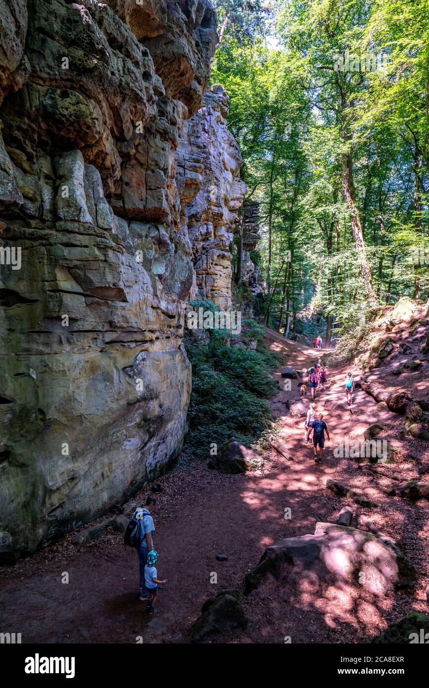 The Devil's Gorge, narrow, passable gorge of sandstone rocks, with ...