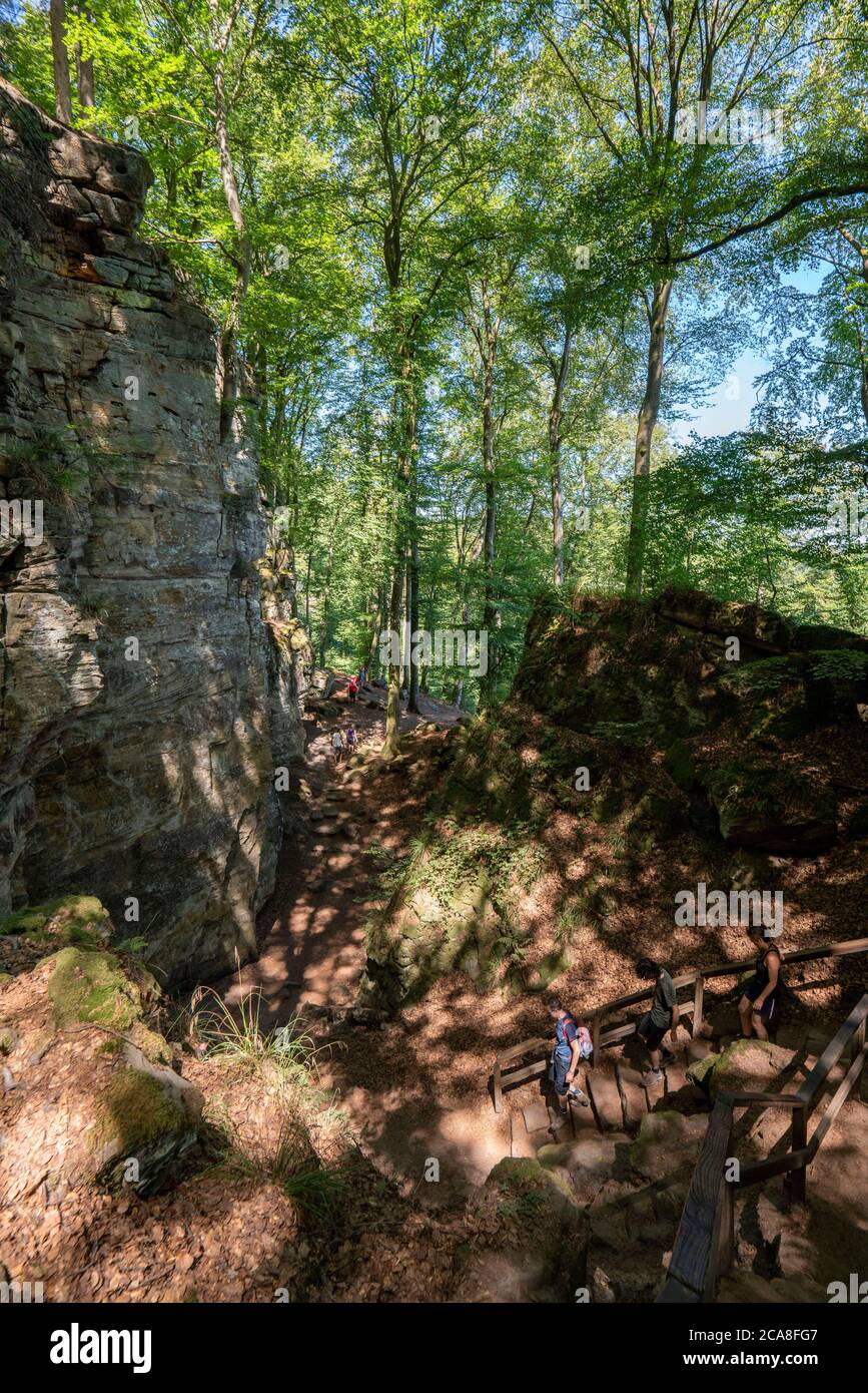 The Devil's Gorge, narrow, passable gorge of sandstone rocks, with ...