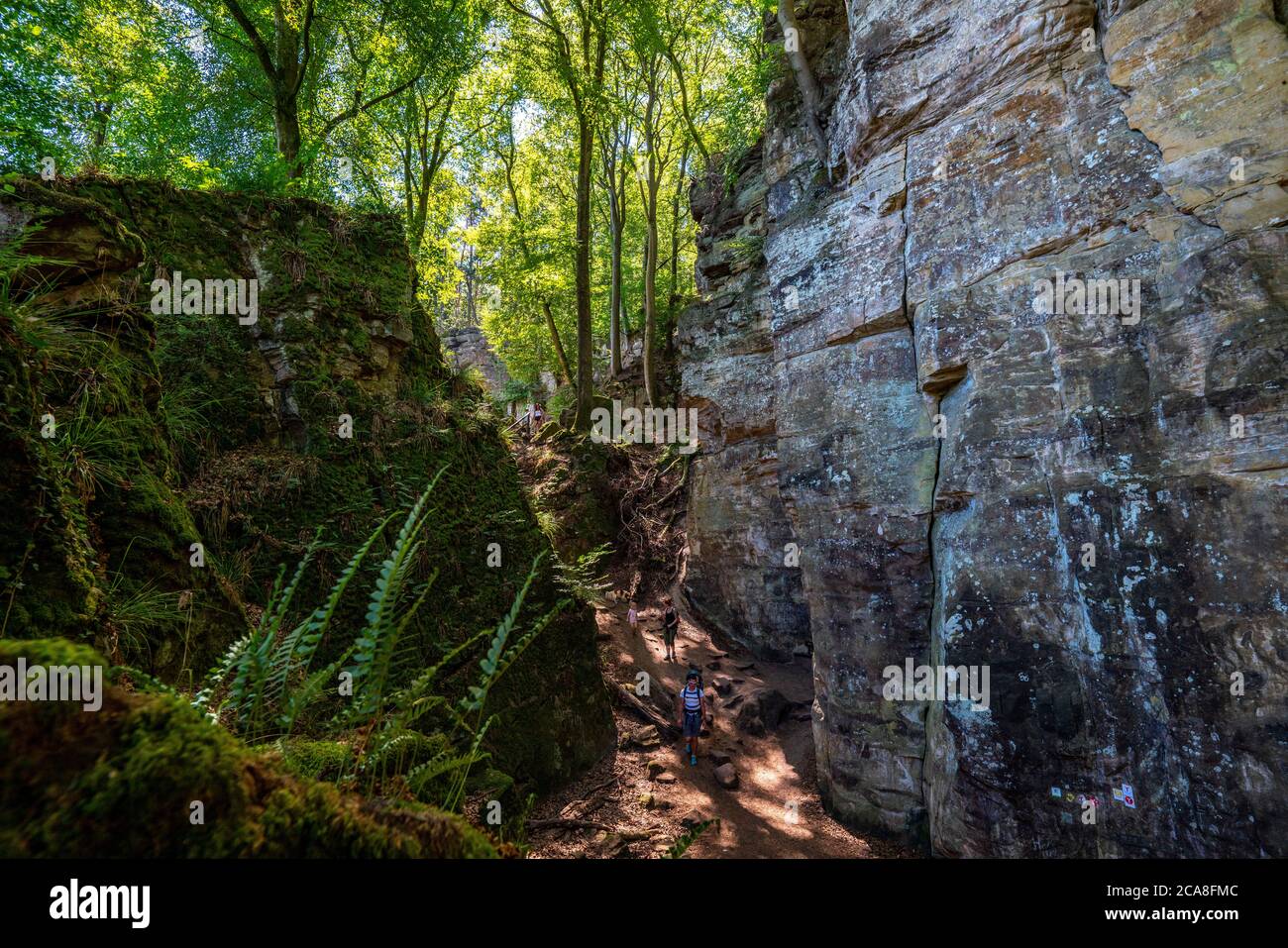 The Devil's Gorge, narrow, passable gorge of sandstone rocks, with ...