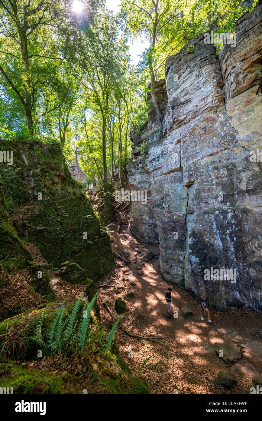 The Devil's Gorge, narrow, passable gorge of sandstone rocks, with ...