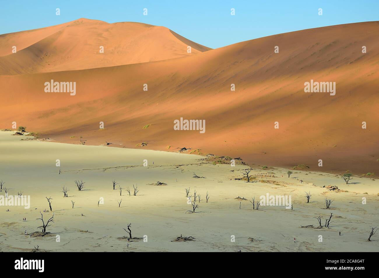 BIG SAND DUNES IN THE NAMIB DESERT IN NAMIBIA Stock Photo - Alamy