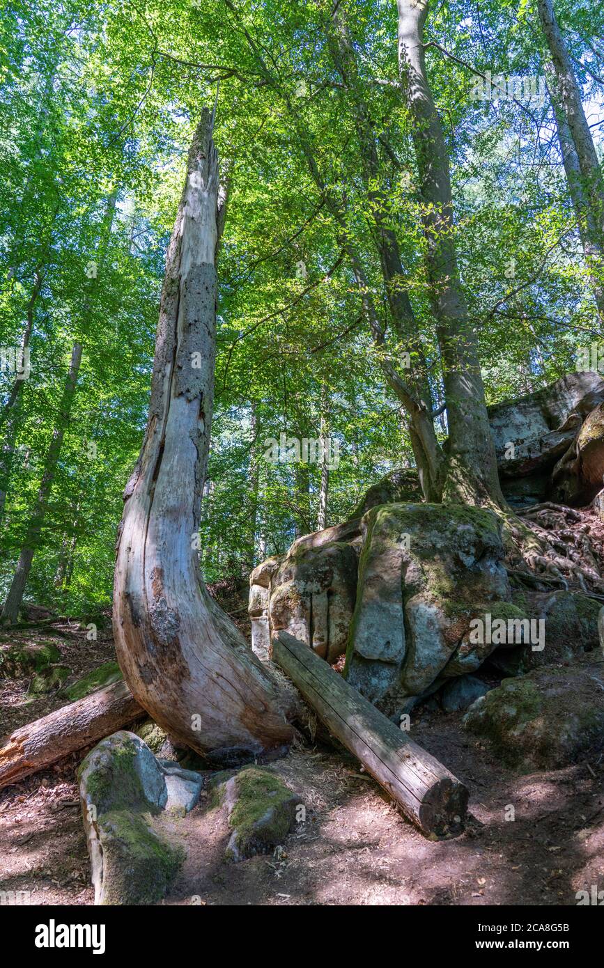 The Devil's Gorge, narrow, passable gorge of sandstone rocks, with ...