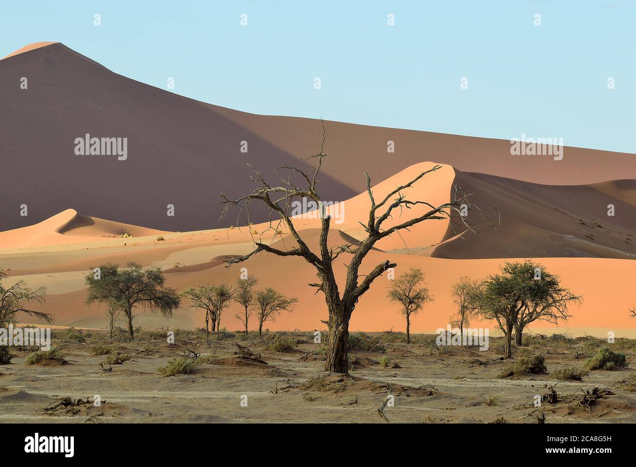 BIG SAND DUNES IN THE NAMIB DESERT IN NAMIBIA Stock Photo - Alamy