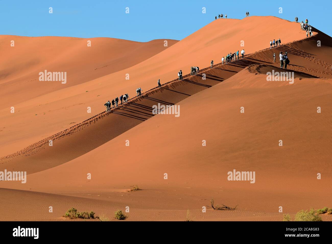 BIG SAND DUNES IN THE NAMIB DESERT IN NAMIBIA Stock Photo - Alamy
