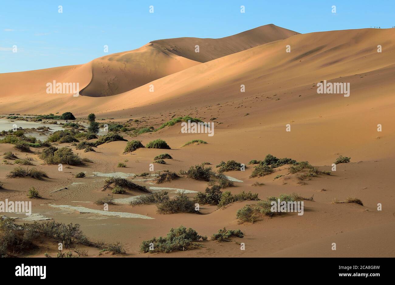 BIG SAND DUNES IN THE NAMIB DESERT IN NAMIBIA Stock Photo - Alamy