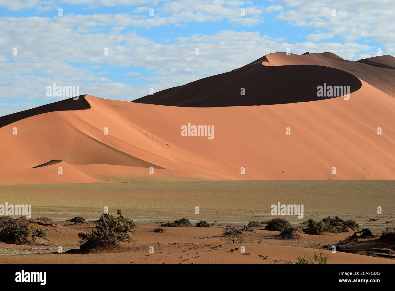 BIG SAND DUNES IN THE NAMIB DESERT IN NAMIBIA Stock Photo - Alamy