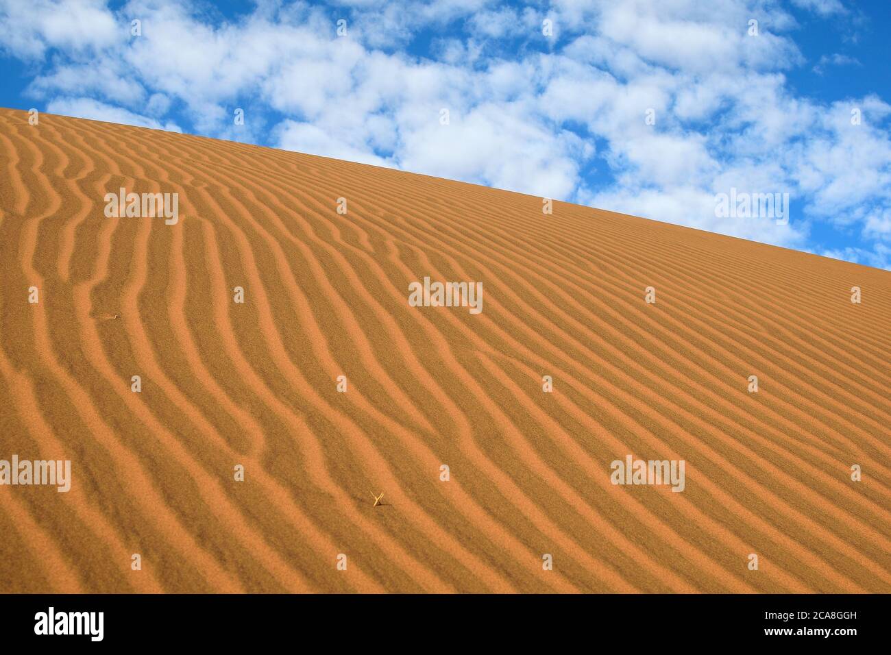 BIG SAND DUNES IN THE NAMIB DESERT IN NAMIBIA Stock Photo - Alamy