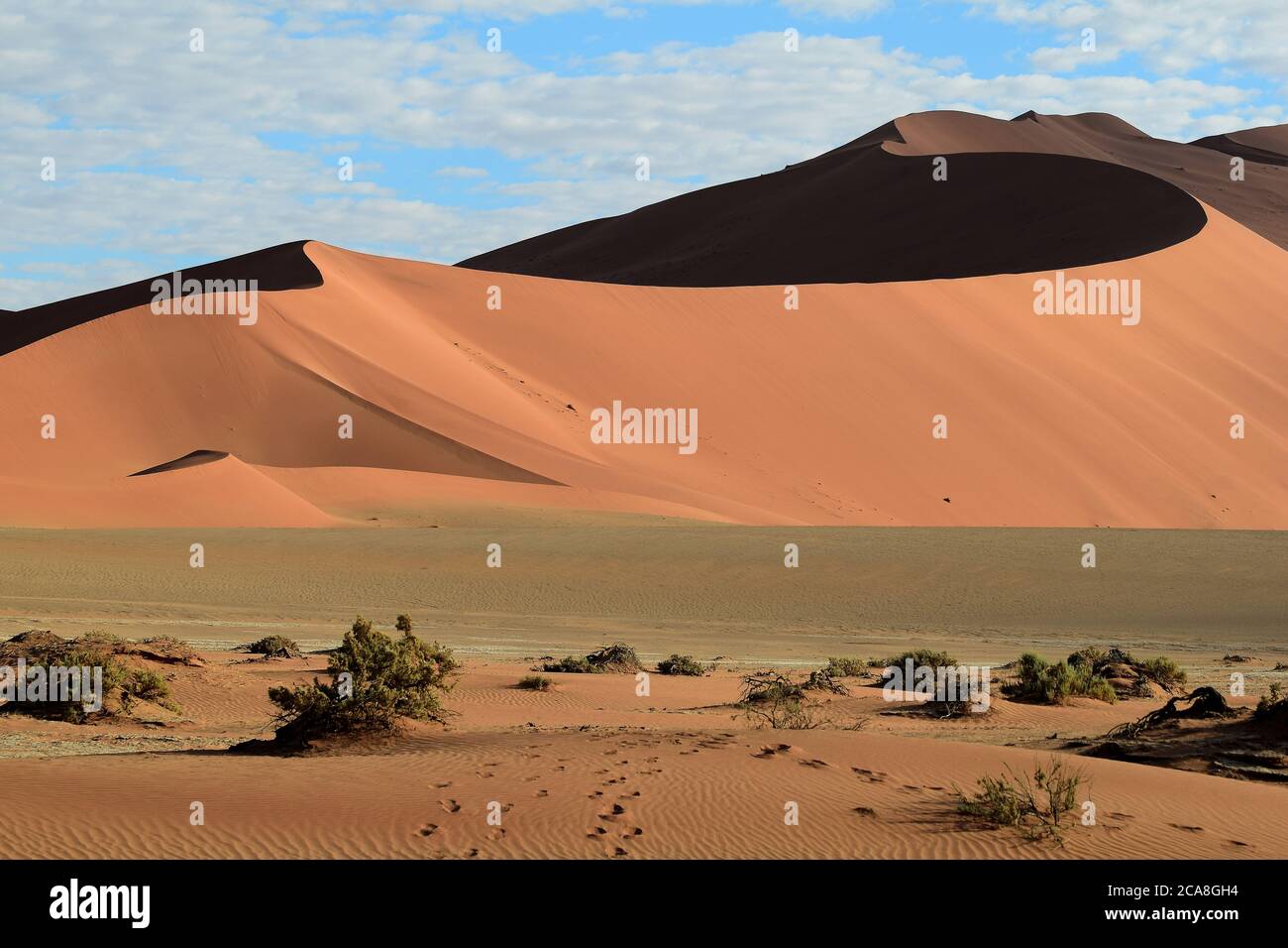 BIG SAND DUNES IN THE NAMIB DESERT IN NAMIBIA Stock Photo - Alamy