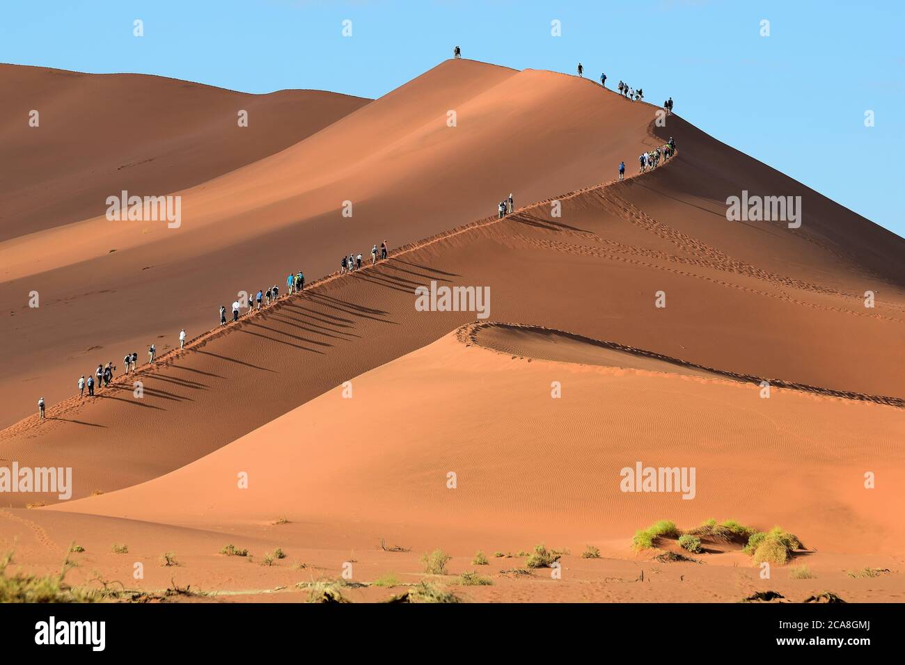 BIG SAND DUNES IN THE NAMIB DESERT IN NAMIBIA Stock Photo - Alamy