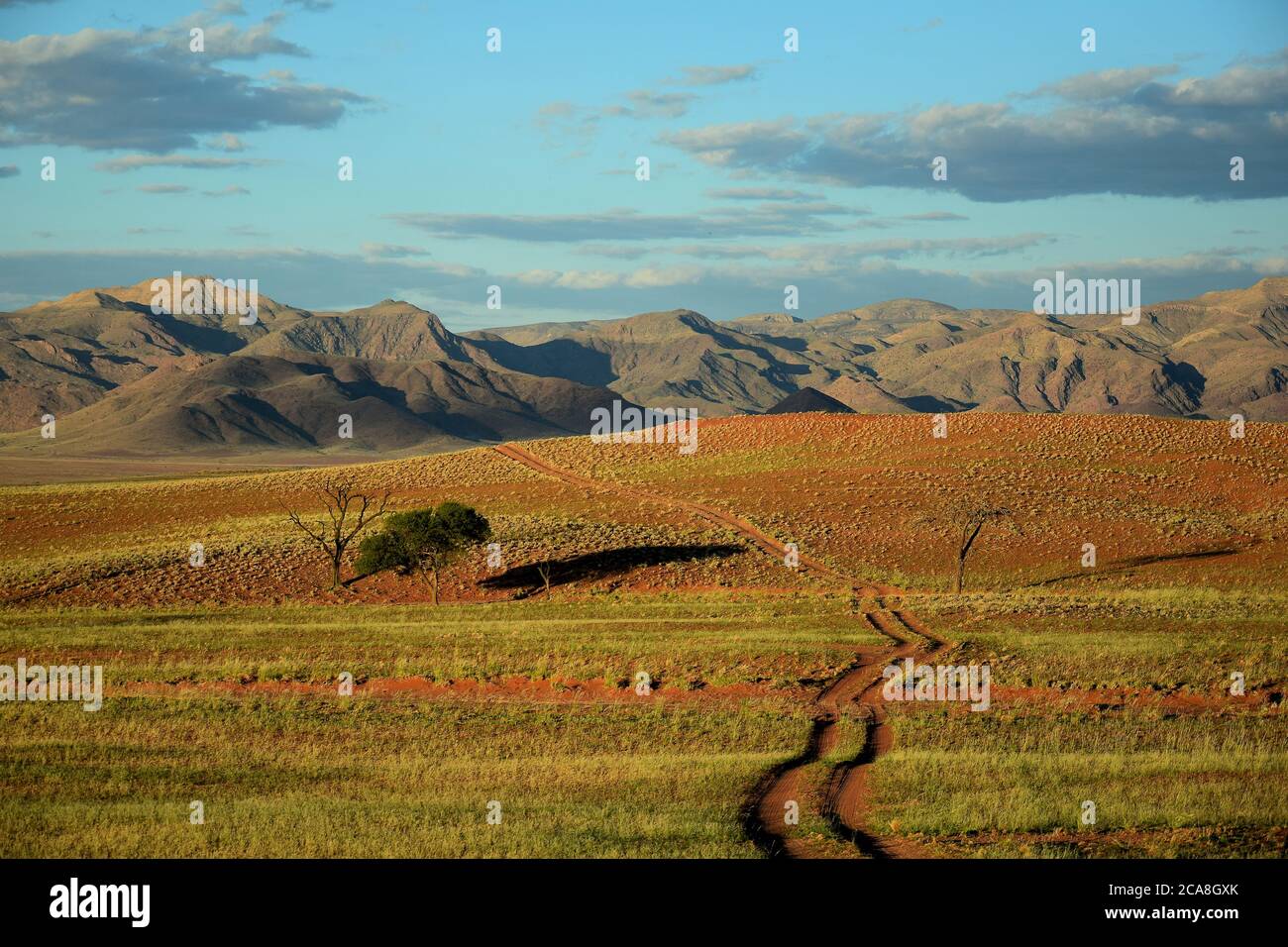 SAFARI IN NAMIBIA. BEAUTIFUL LANDSCAPES WITH SAND AND MOUNTAINS Stock ...