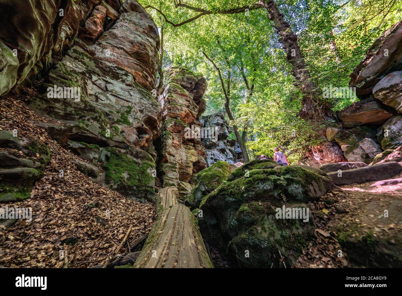 The Devil's Gorge, narrow, passable gorge of sandstone rocks, with ...
