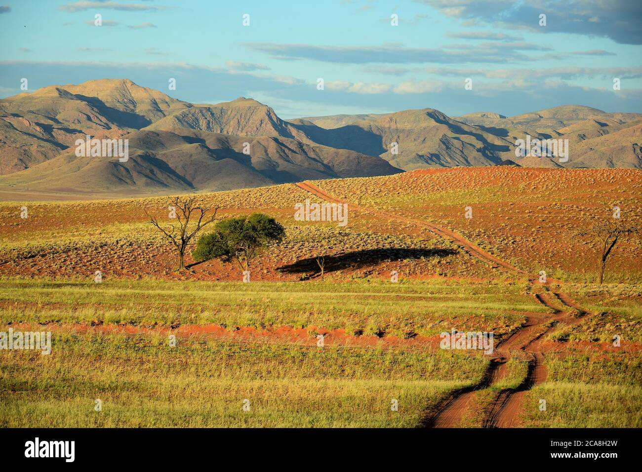 SAFARI IN NAMIBIA. BEAUTIFUL LANDSCAPES WITH SAND AND MOUNTAINS Stock ...