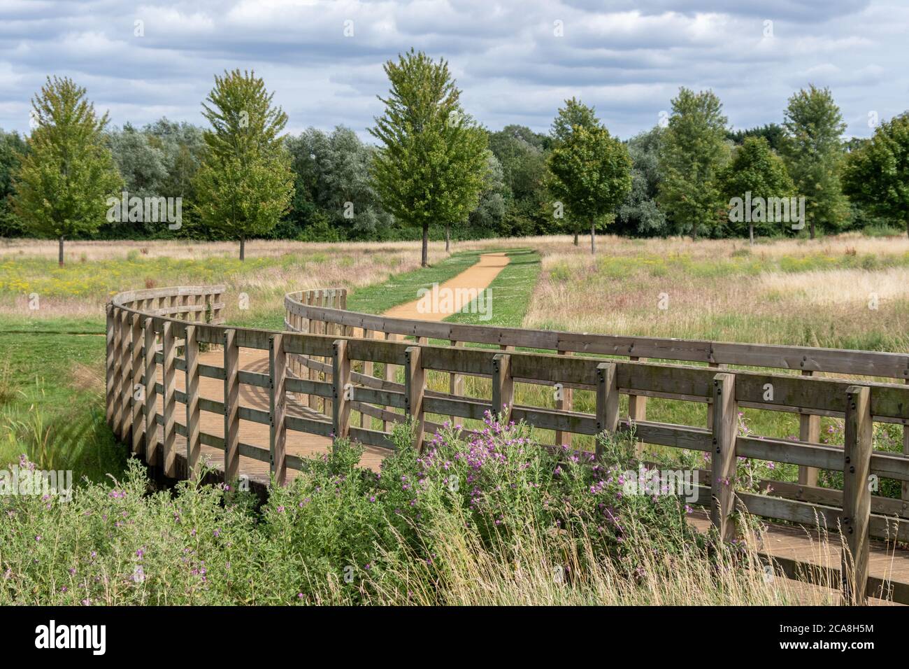 Wooden footbridge and path leading to woodland, Foxfield Country Park ...
