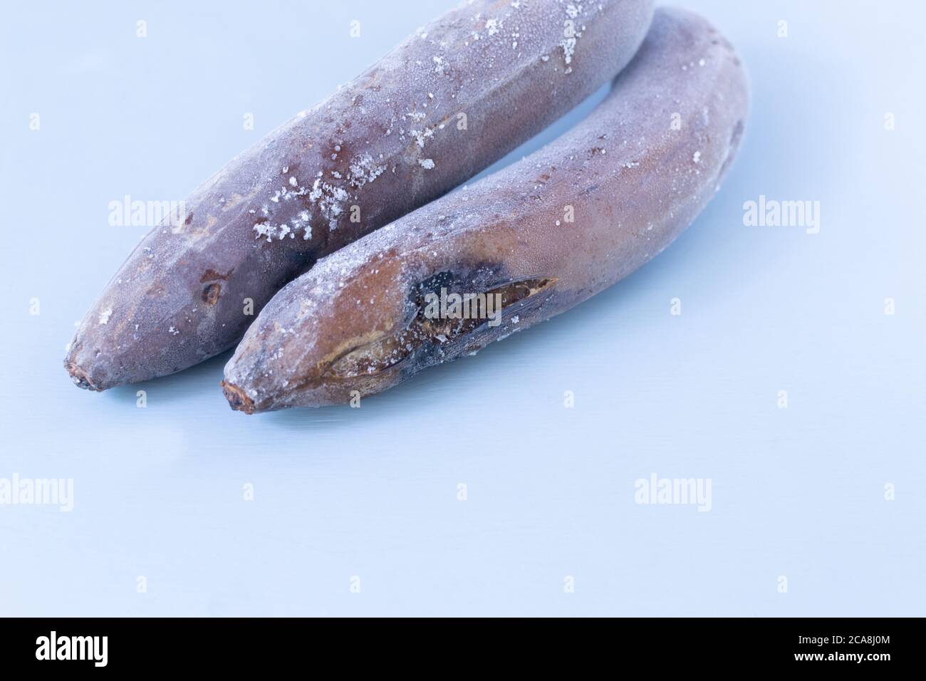 Frozen ugly bananas on a gray background. Wastefood concept. Copy space ...