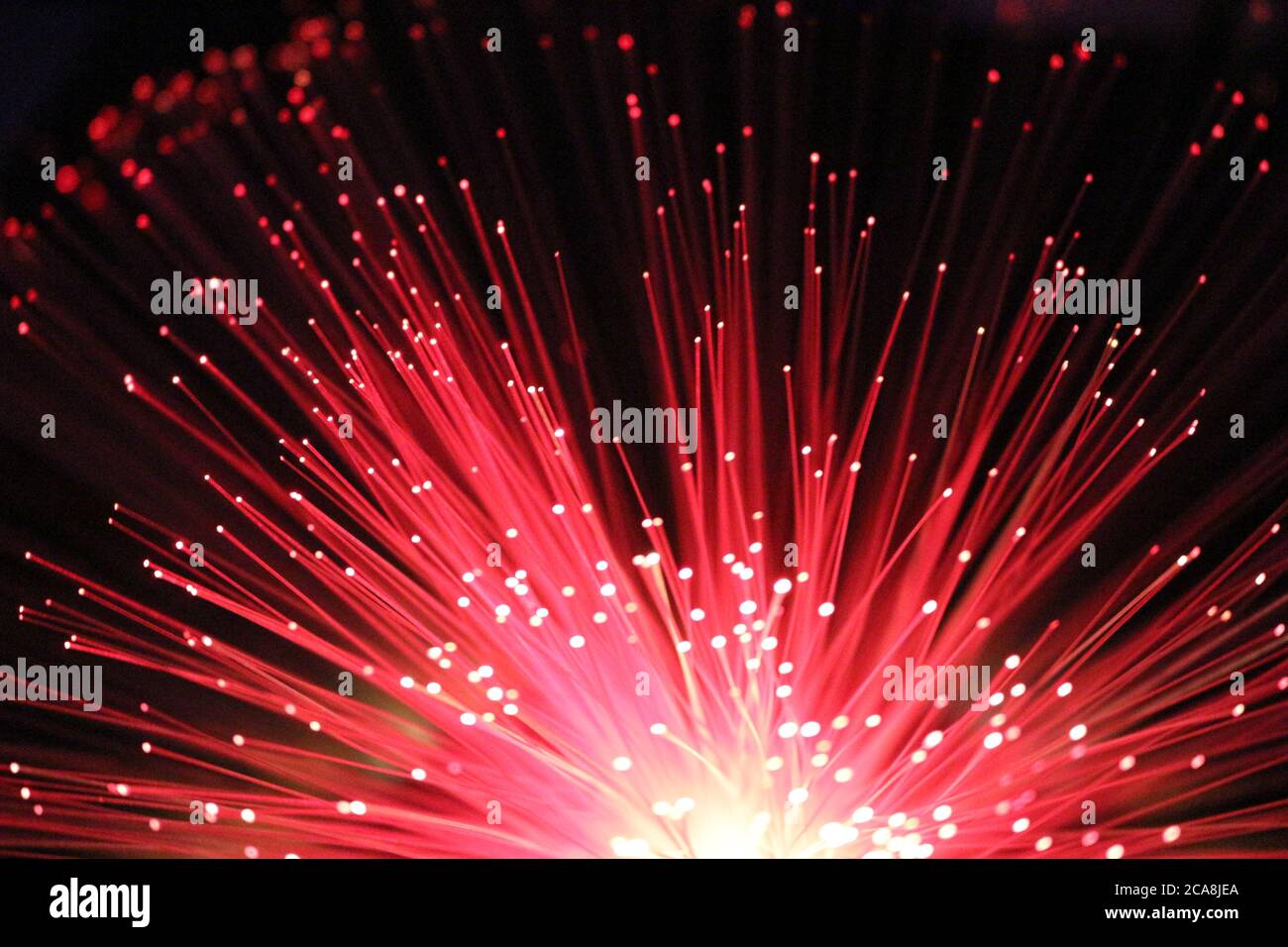 The fiber optic lamp produces suggestive lighting effects Stock Photo ...