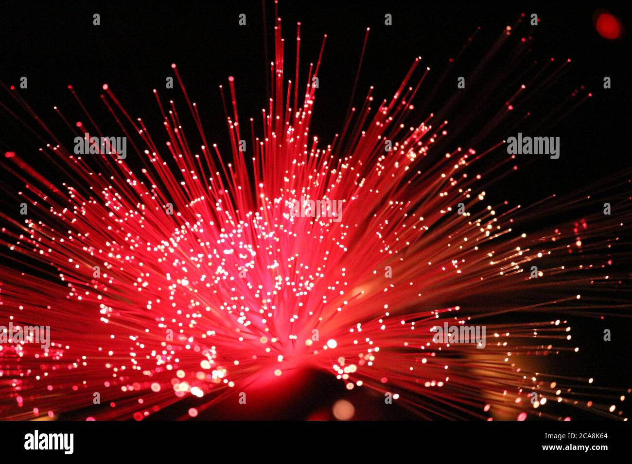 The fiber optic lamp produces suggestive lighting effects Stock Photo ...