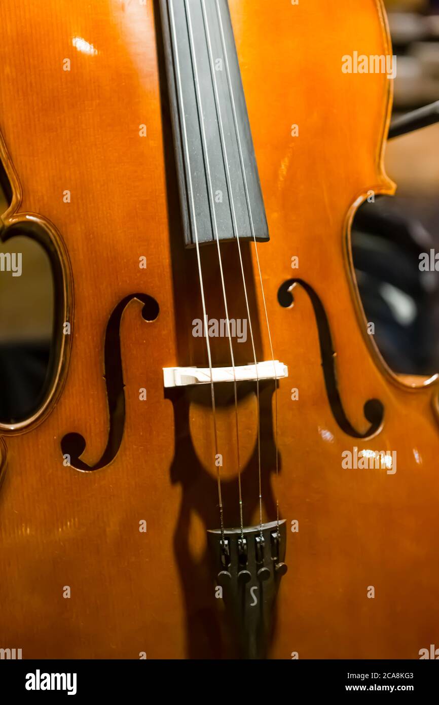 Front view of an old wood violin in detail: central play part strings ...