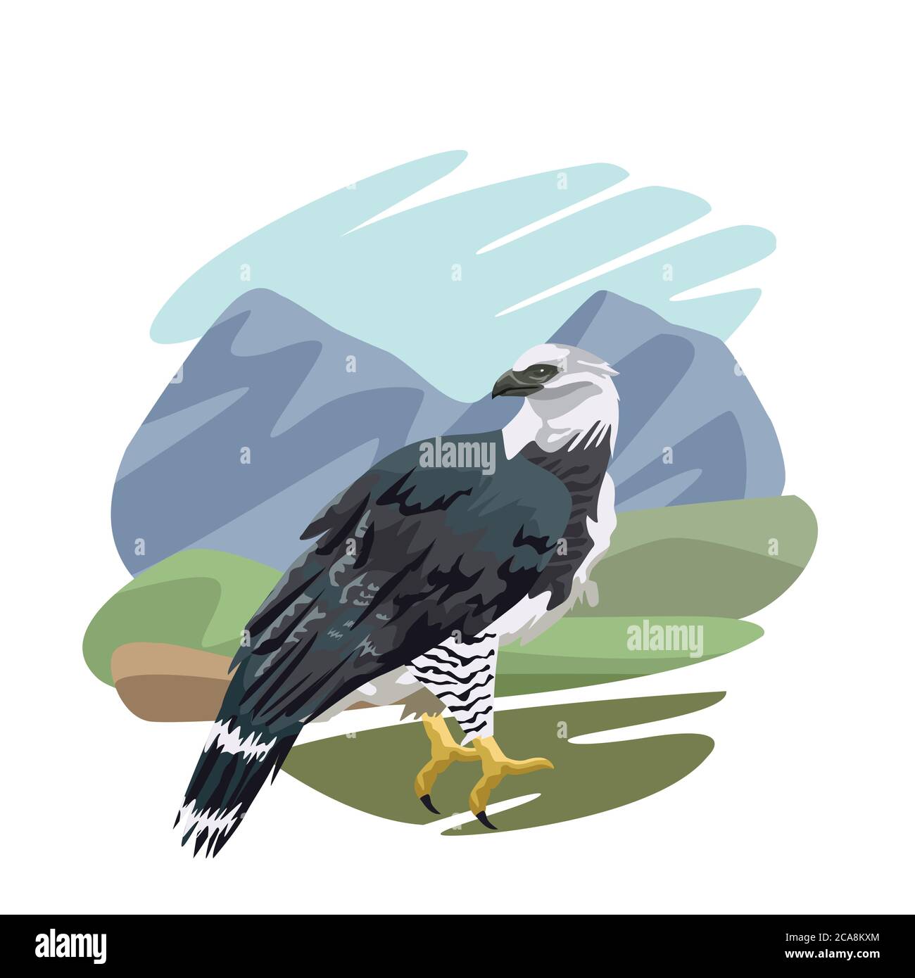 Bald eagle in field Stock Vector Images - Alamy